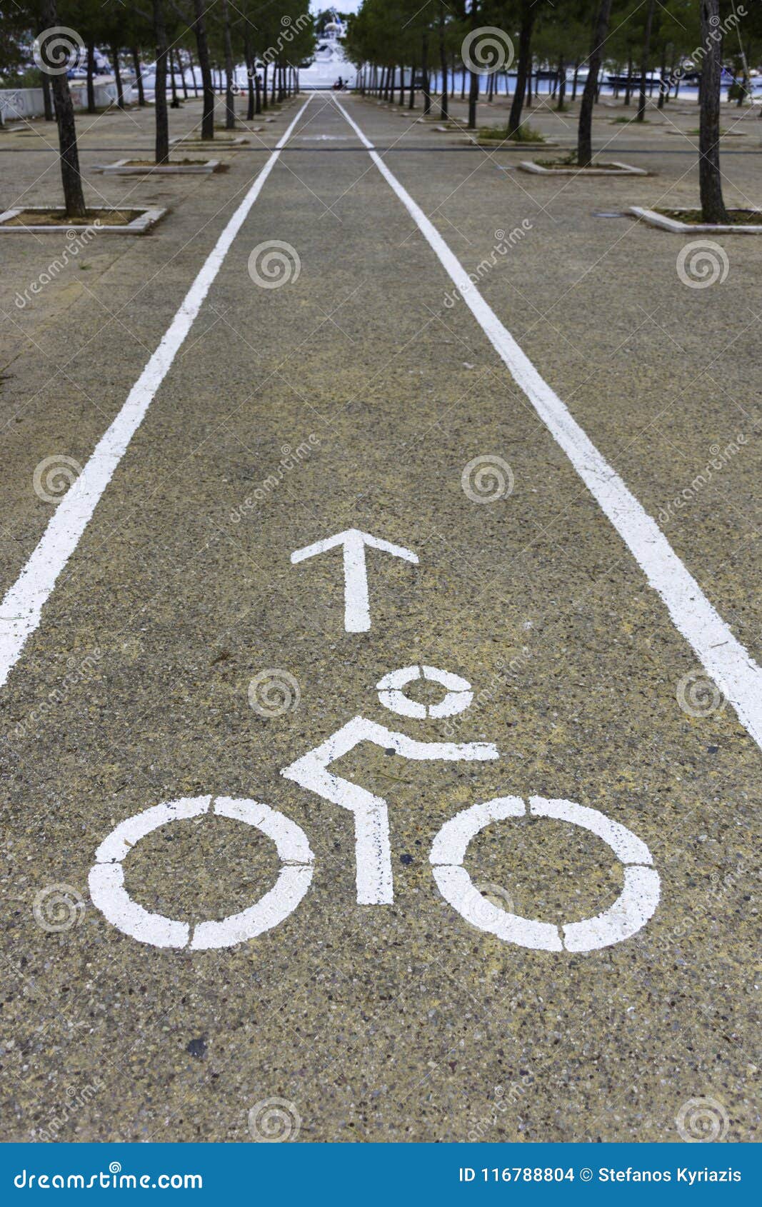 Pista Da Bicicleta No Parque Da Cidade Foto de Stock - Imagem de ... Pista Da Bicicleta No Parque Da Cidade Foto de Stock - Imagem de ...