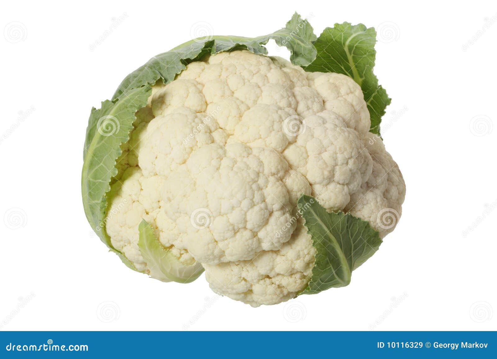 Pista de la coliflor imagen de archivo. Imagen de coliflor - 10116329