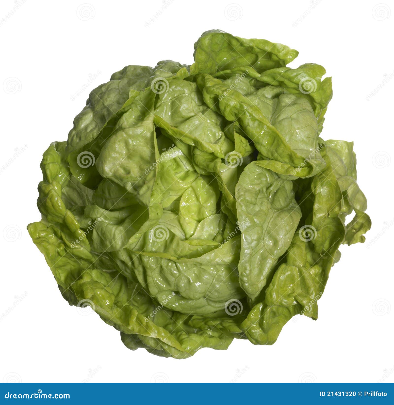 Cabeza De La Lechuga Fresca Foto de archivo - Imagen de planta, tiro ...