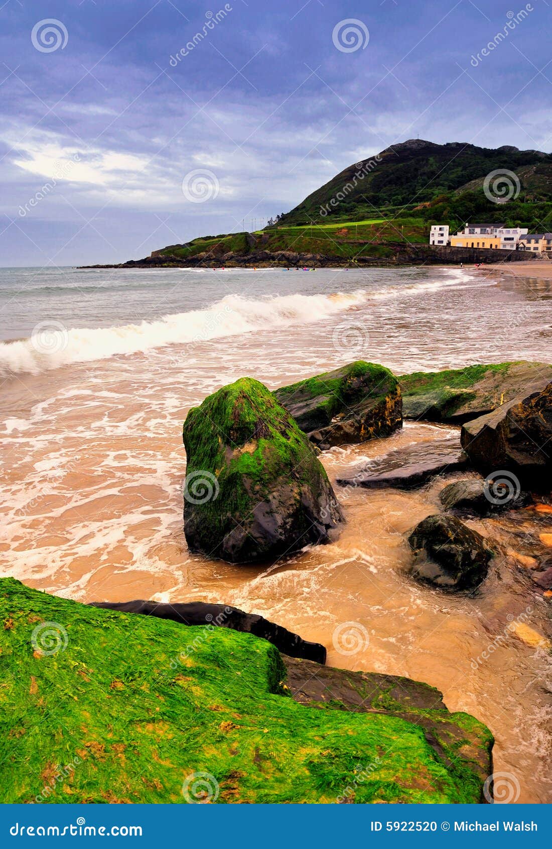 Pista del rebuzno foto de archivo. Imagen de alegre, arena - 5922520