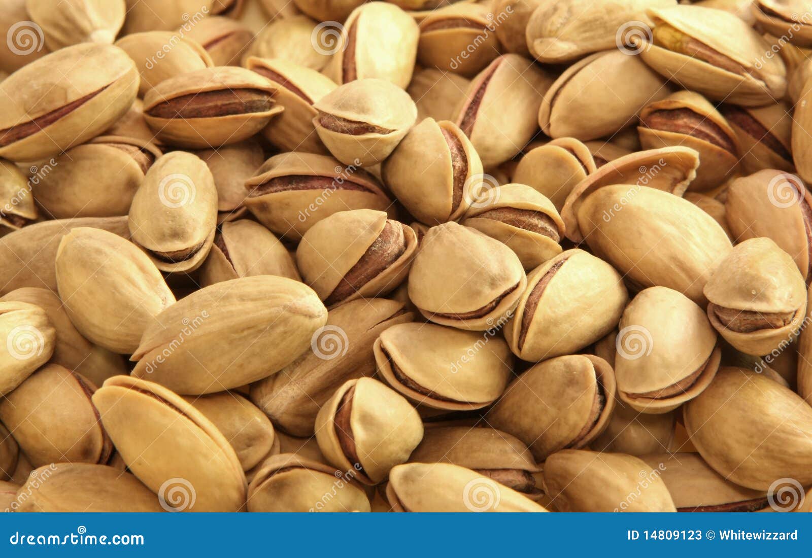 Pistachio stock image. Image of desert, health, pistachio - 14809123