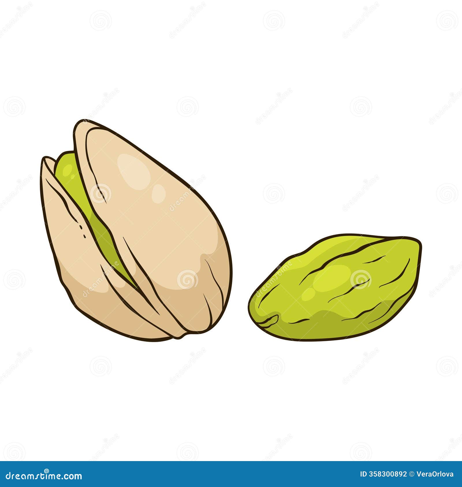 Pistachio Shell Watercolor. Hand Drawn Nut Shell Isolated On White ...