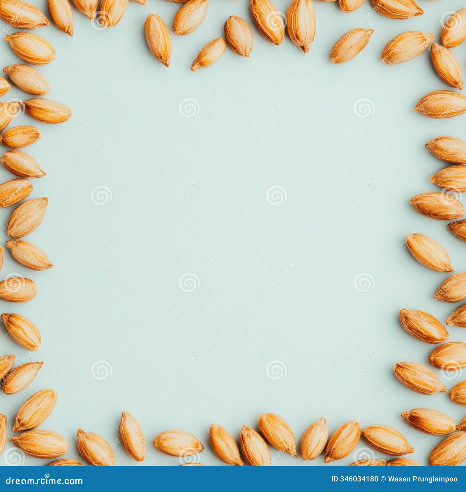 Pistachio Border Royalty-Free Stock Photo | CartoonDealer.com #26391777