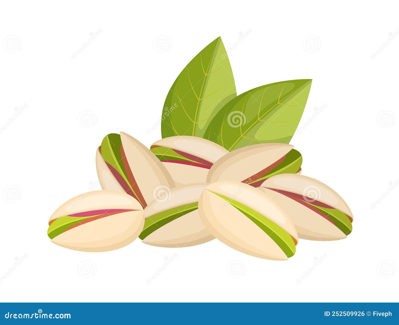 Pistachio Nuts in Shell with Leaves, Vector Illustration on White ...