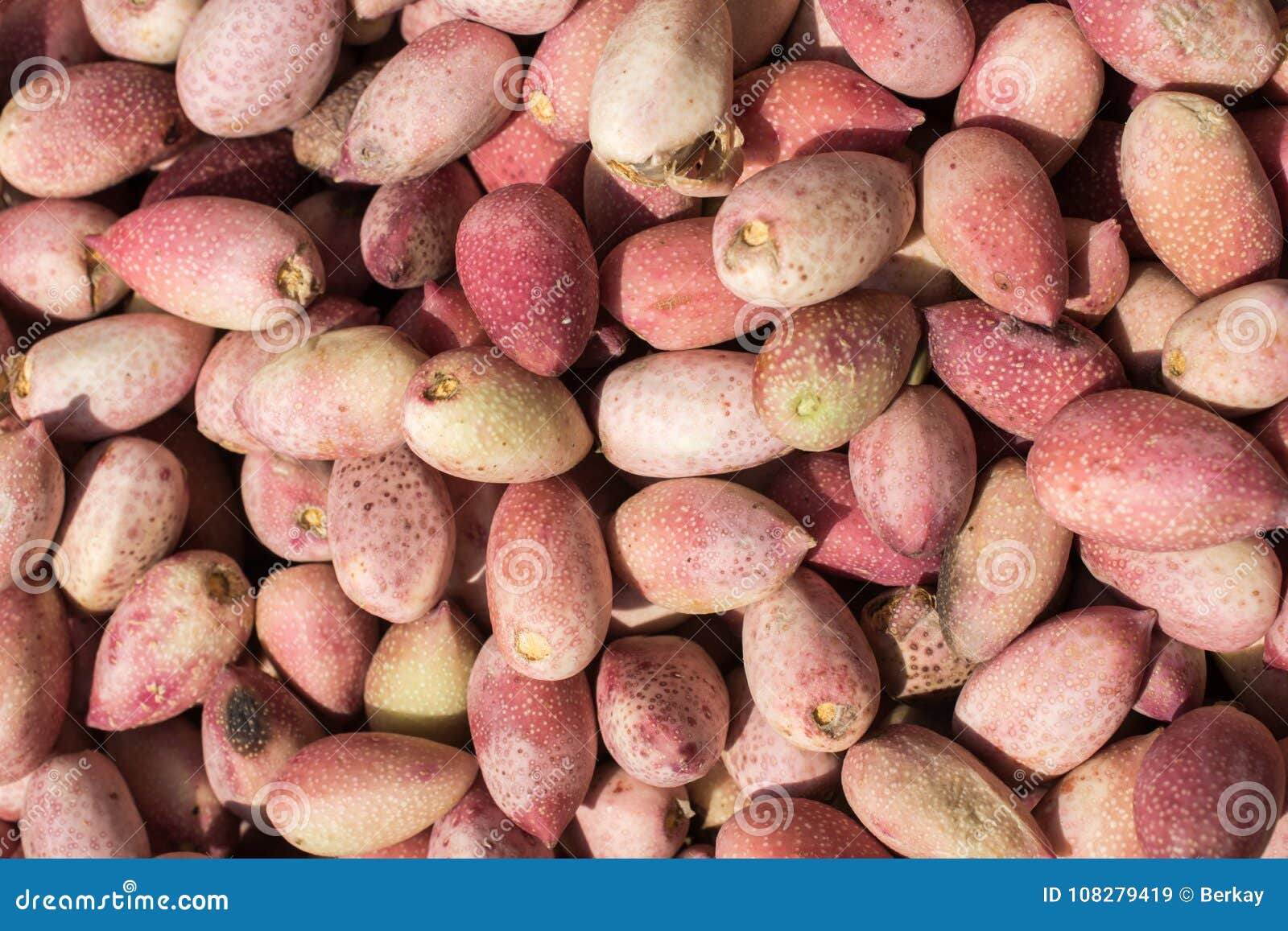 Pistachio with Shell and Pink Skin Stock Image - Image of nutrition ...