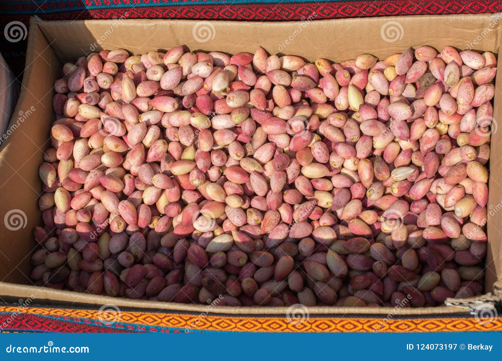Pistachio with Shell Ready To Eat Stock Image - Image of canvas, nuts ...