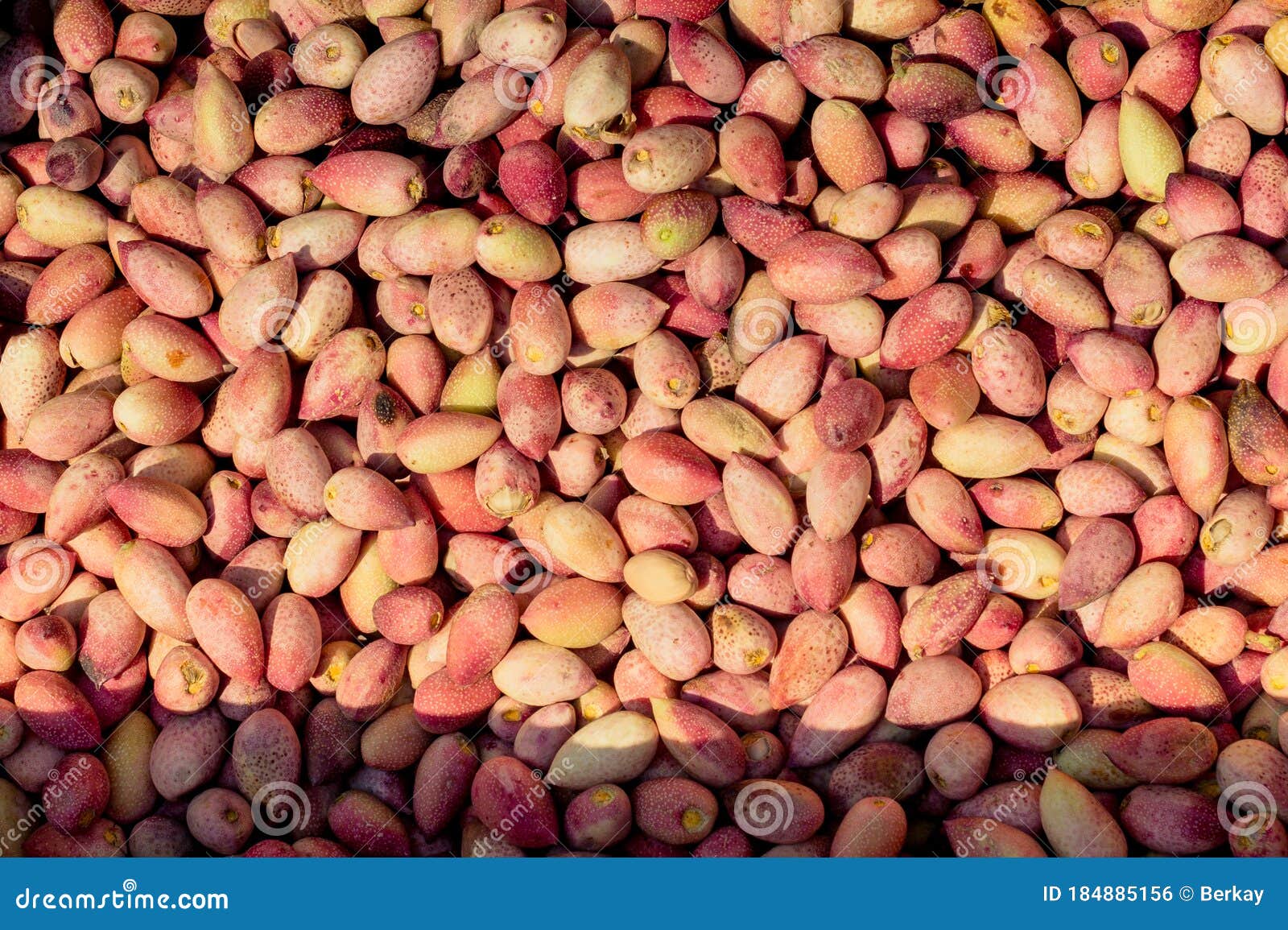 Pistachio with Shell Ready To Eat Stock Photo - Image of natural ...