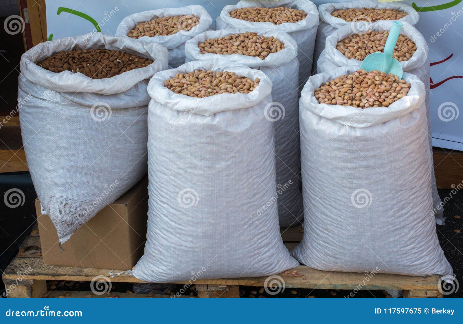 Pistachio with Shell Ready To Eat Stock Image - Image of holding, shell ...