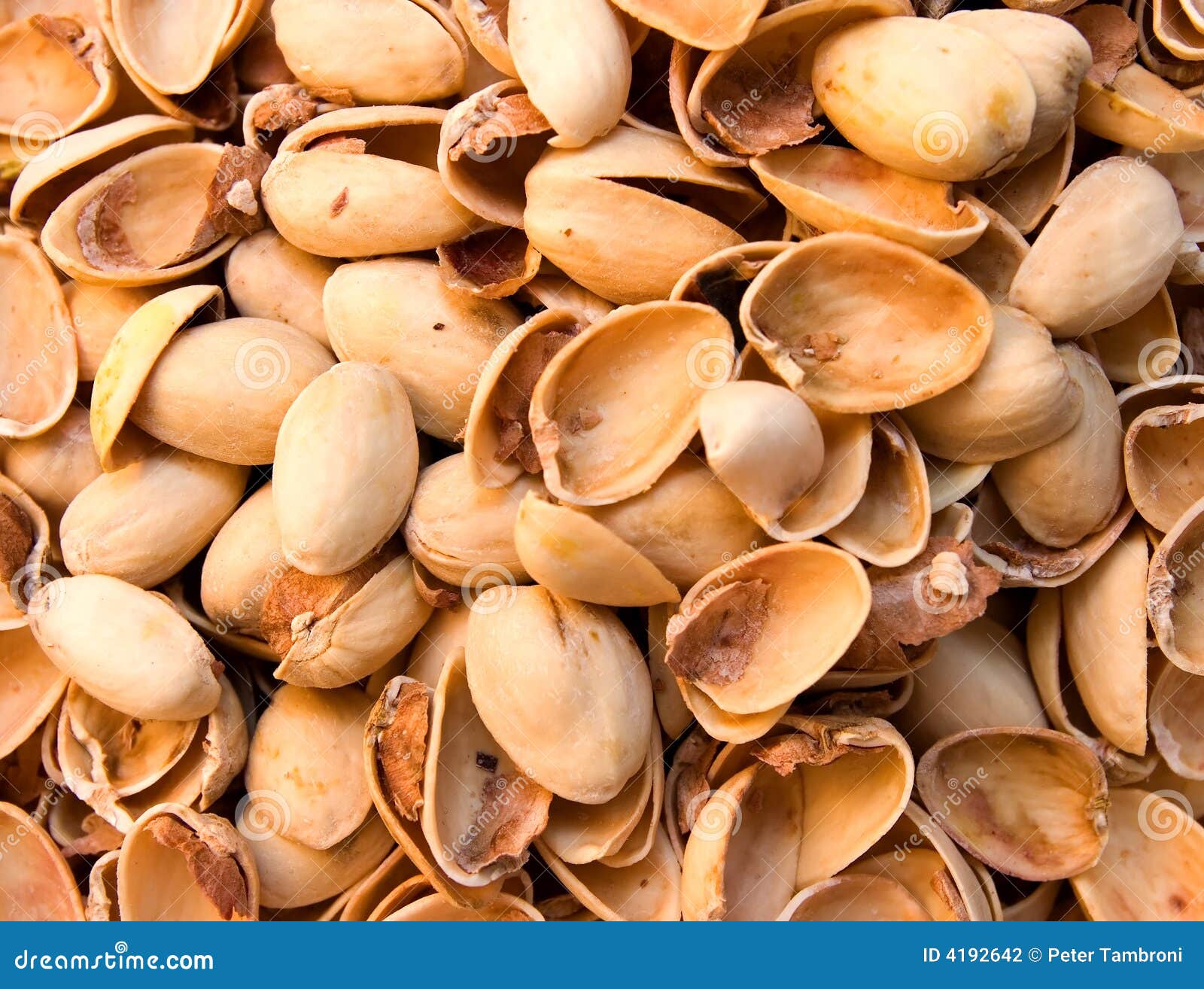 Pistachio Shells stock photo. Image of pile, shell, finished - 4192642