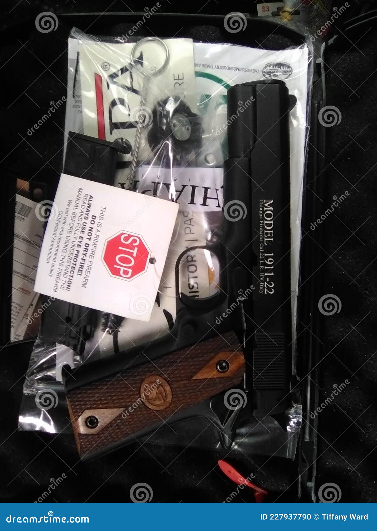 Pistol .22 Caliber Chiappa 1911-22 Editorial Image - Image of 1911 ...