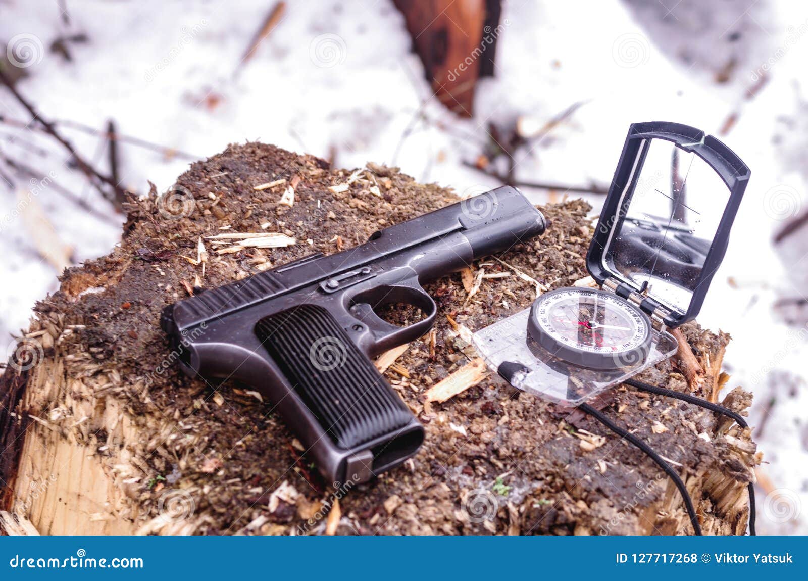 Pistol and Compass on the Stump. Military Composition Stock Photo ...