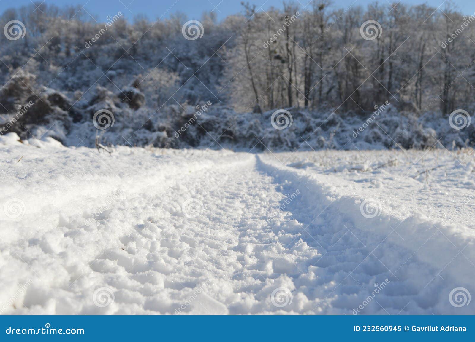 A pit craved in snow. stock image. Image of freezing - 232560945