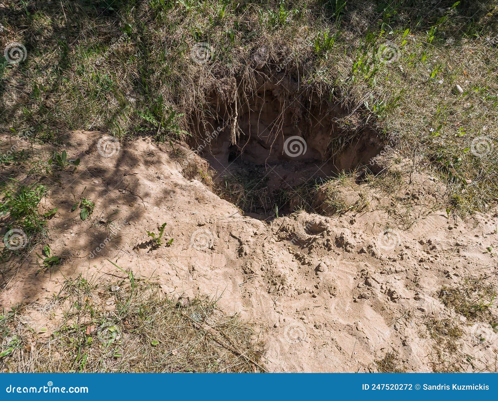 A Pit Dug in the Sandy Forest Stock Photo - Image of closeup, beautiful ...