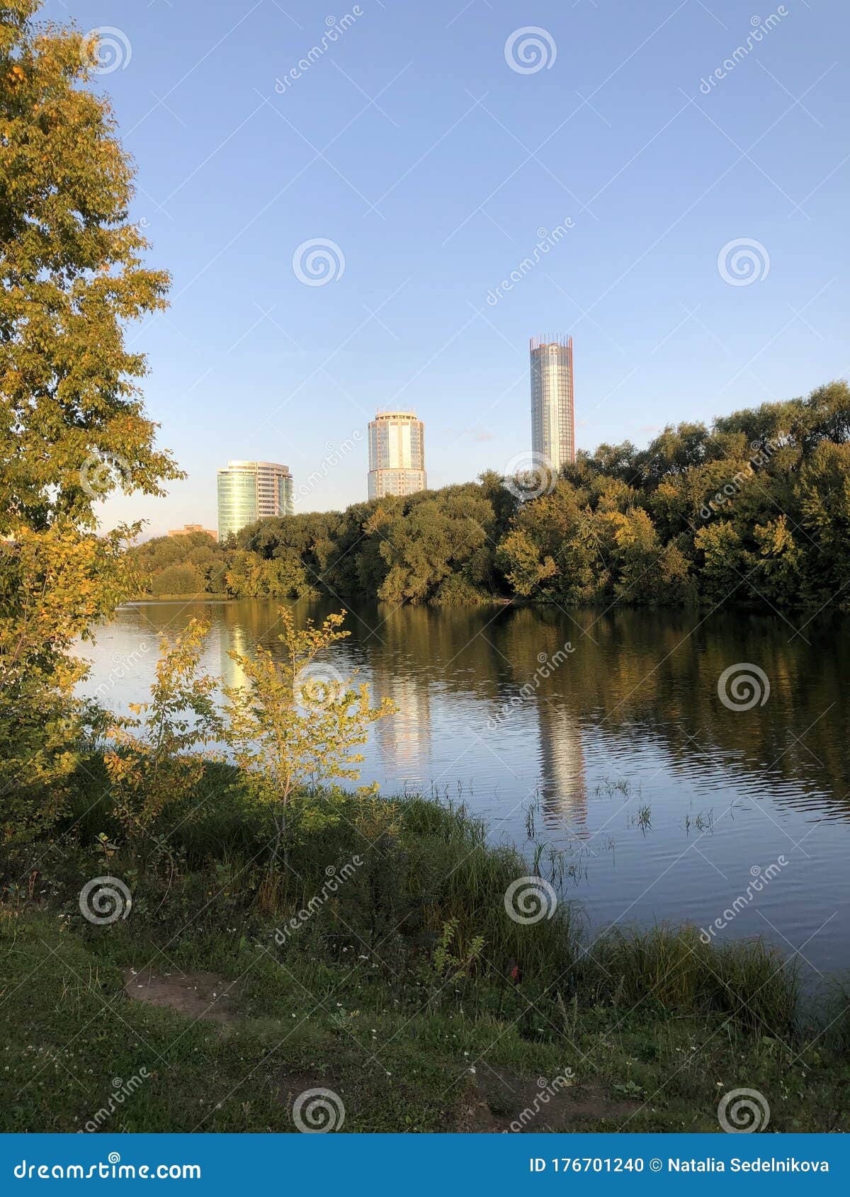 Pit in the forest. stock photo. Image of scenery, environment - 176701240