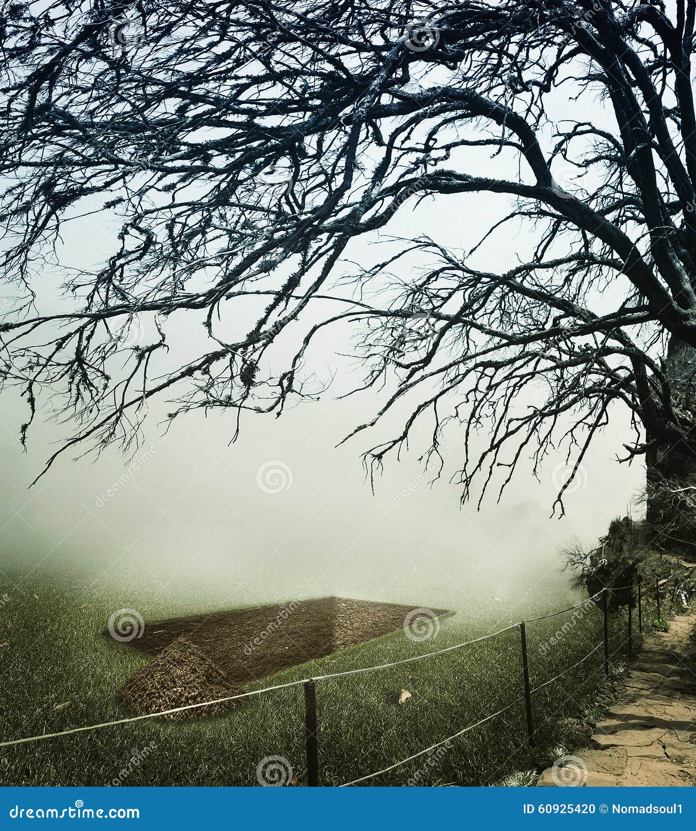 Pit in the forest stock photo. Image of outdoors, edge - 60925420