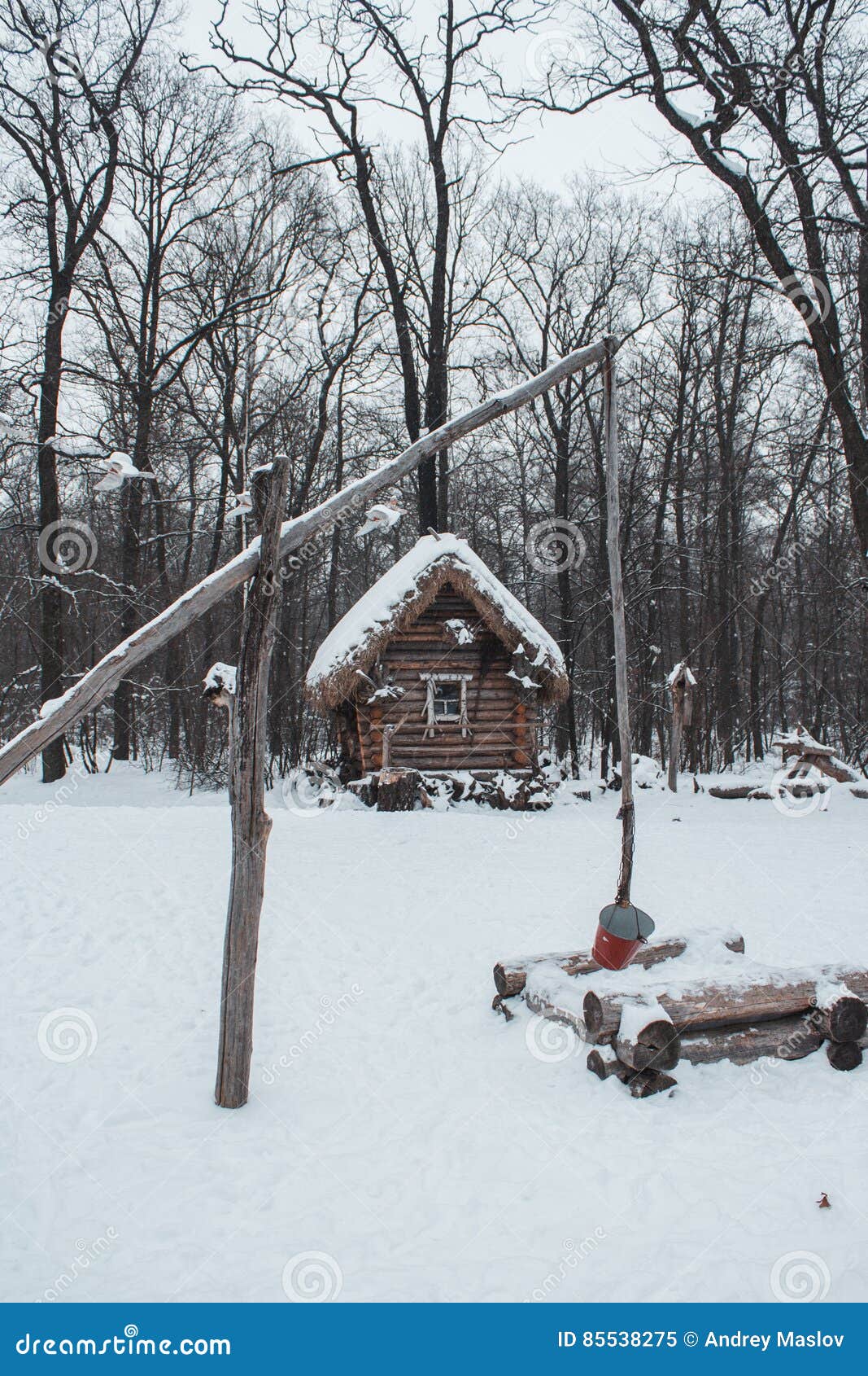 The Pit and the Hut Standing in the Woods in Winter Snow Stock Image ...