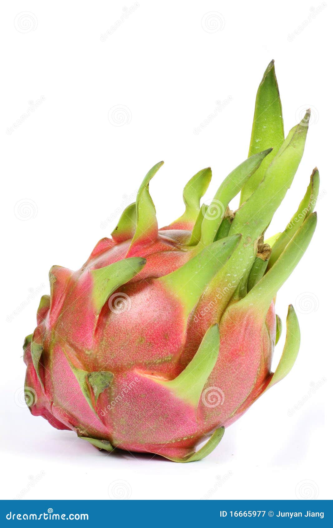Pitaya stock image. Image of isolated, nanettikafruit - 16665977