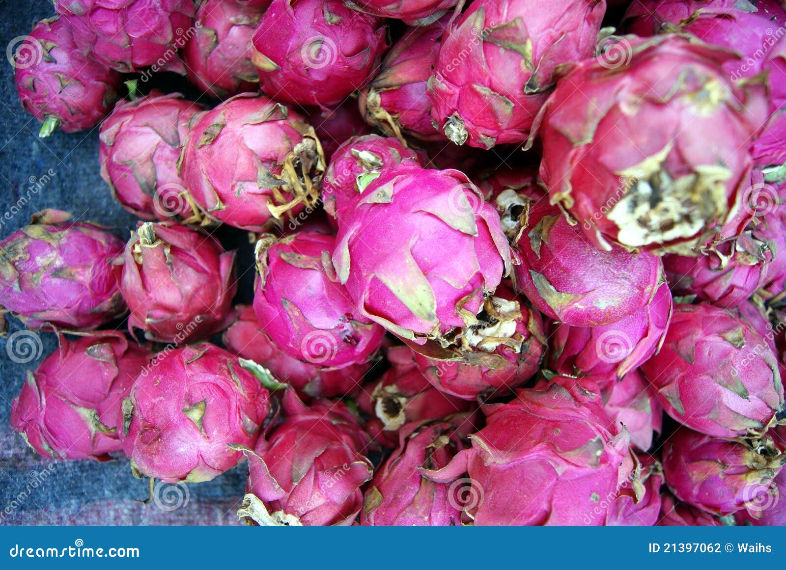 Pitaya stock photo. Image of adornment, food, fields - 21397062