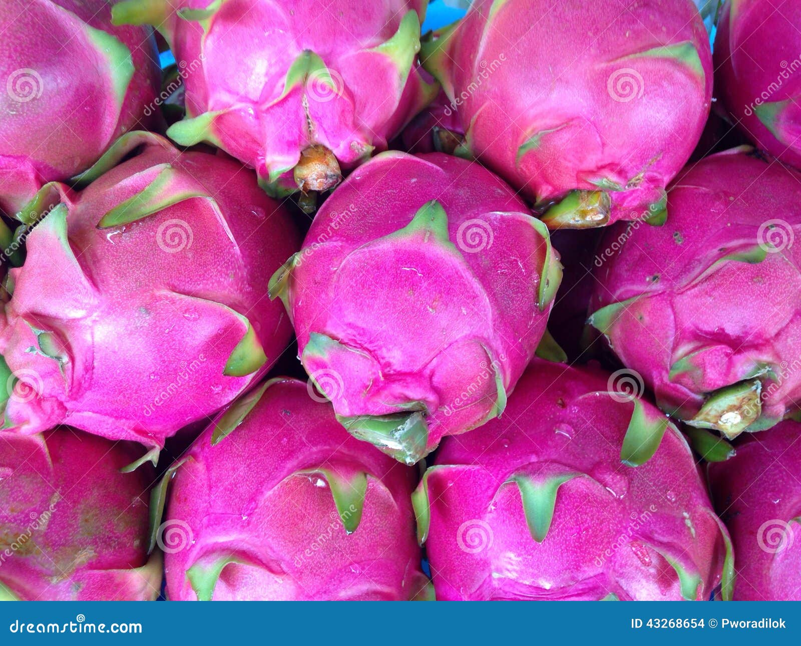 Pitaya arkivfoto. Bild av frukt, äta, rosa, banta, marknad - 43268654