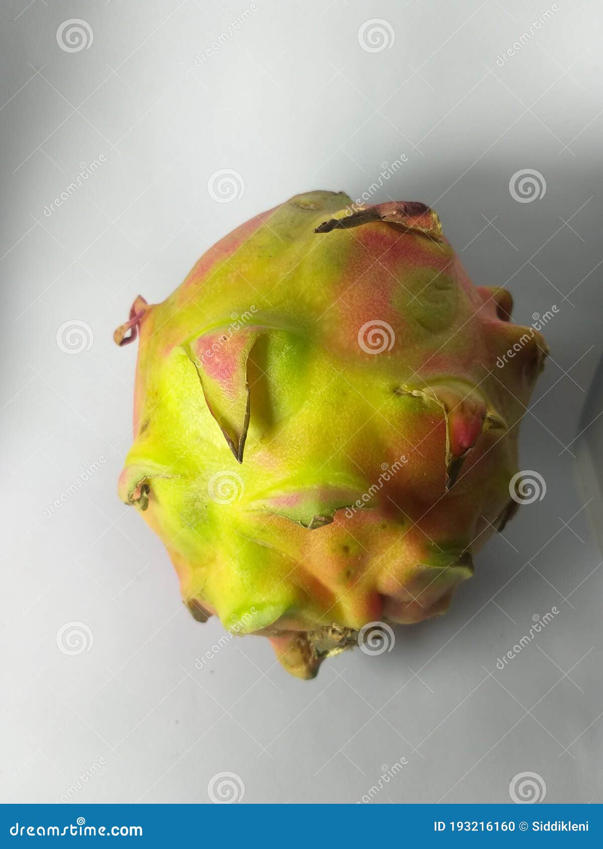 Pitaya Buah Naga Dragon Fruit Stock Photography | CartoonDealer.com ...