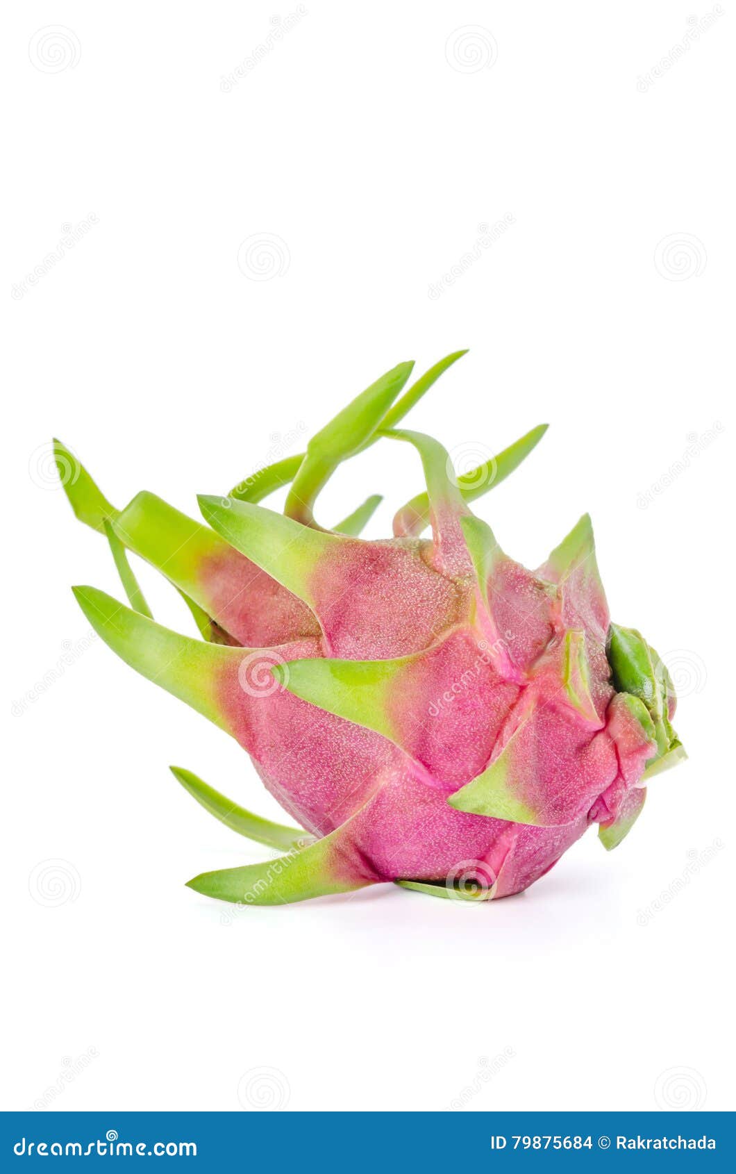 Pitaya cor-de-rosa fresco foto de stock. Imagem de tailandês - 79875684