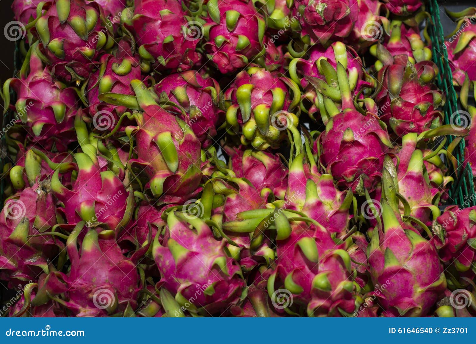 Pitaya dragon fruit stock photo. Image of multiple, good - 61646540