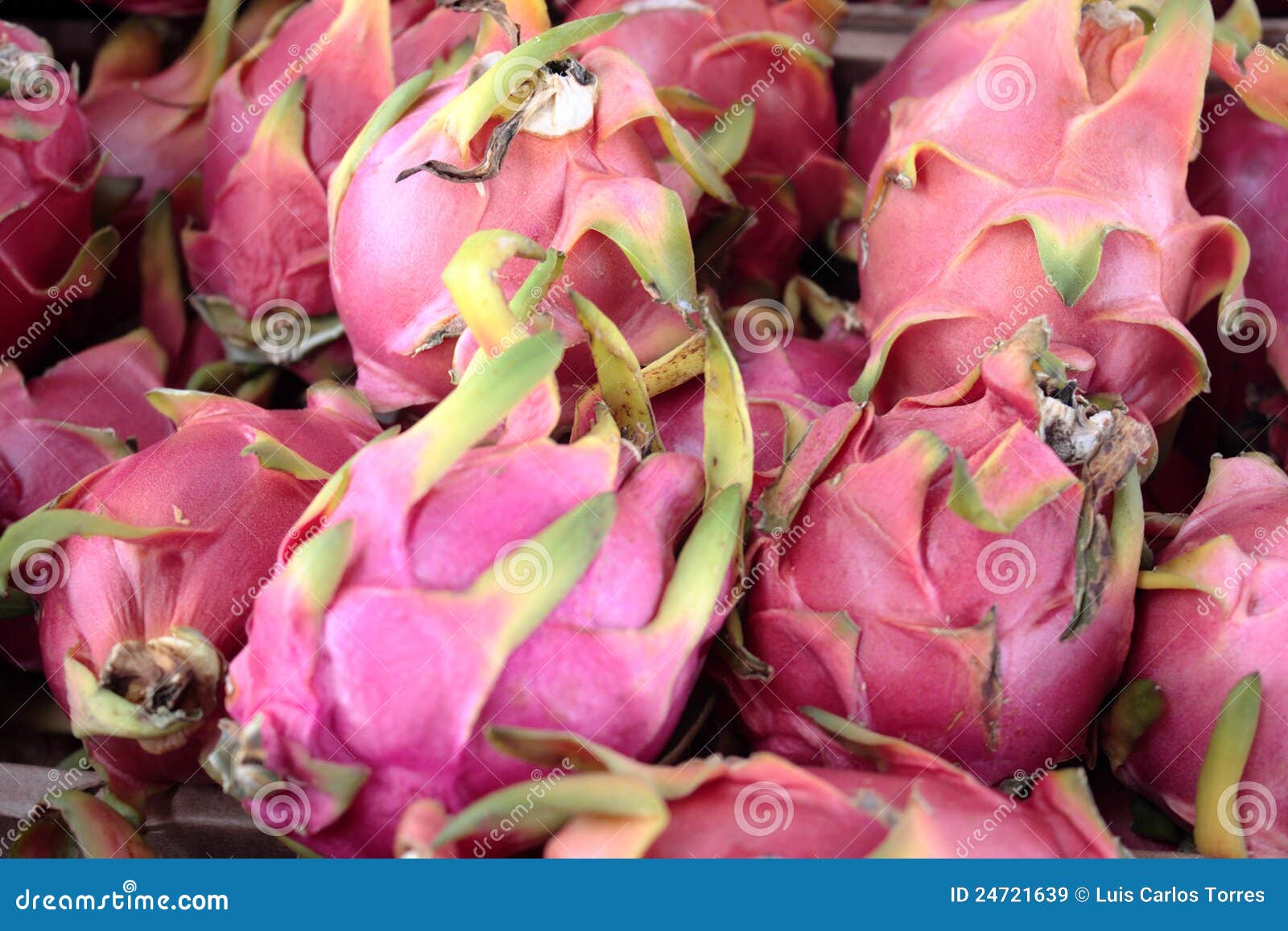 Pitaya fruit stock image. Image of full, bunch, produce - 24721639