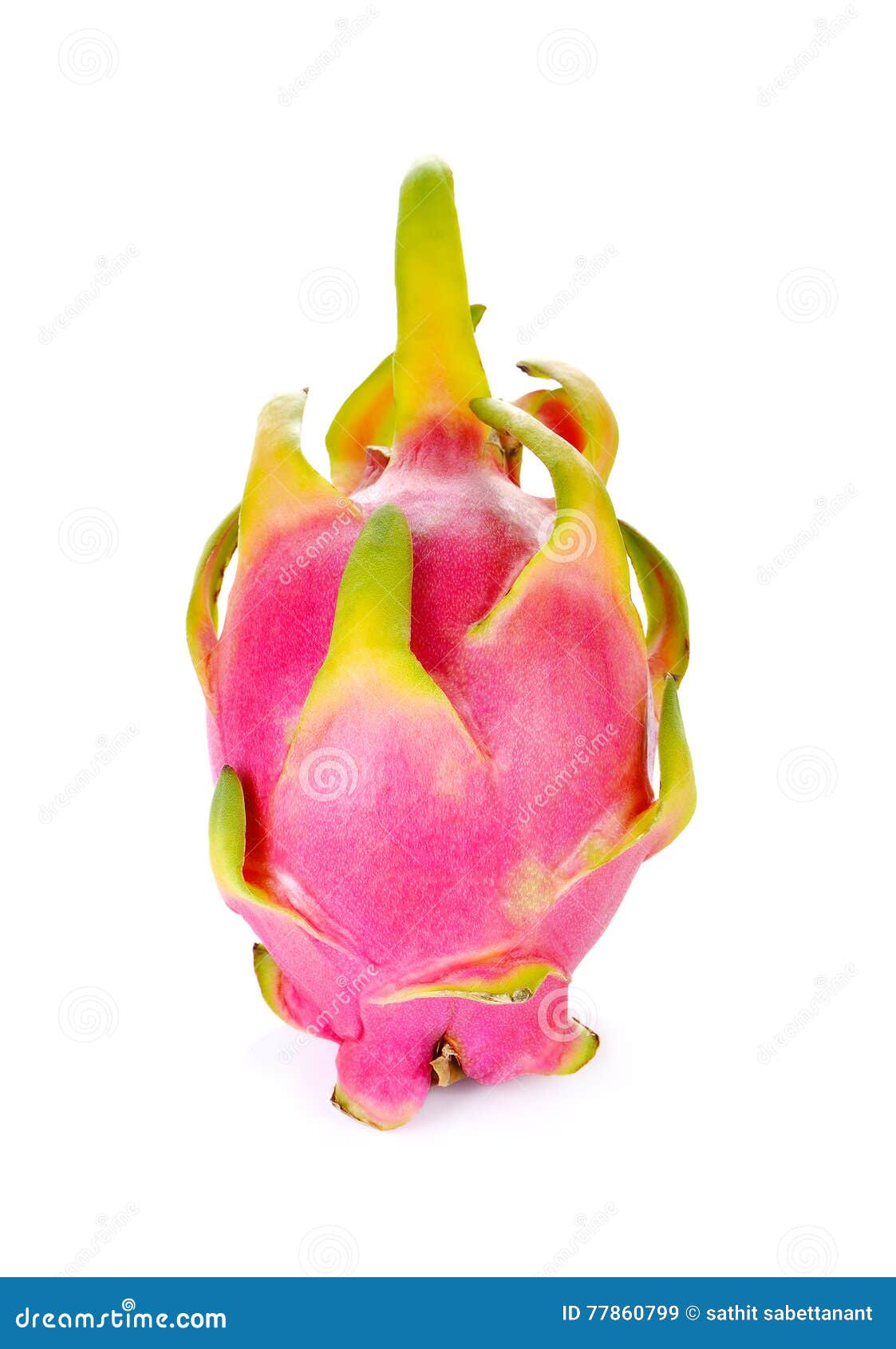 Pitaya Isolated on White Background Stock Image - Image of pink, pitaya ...