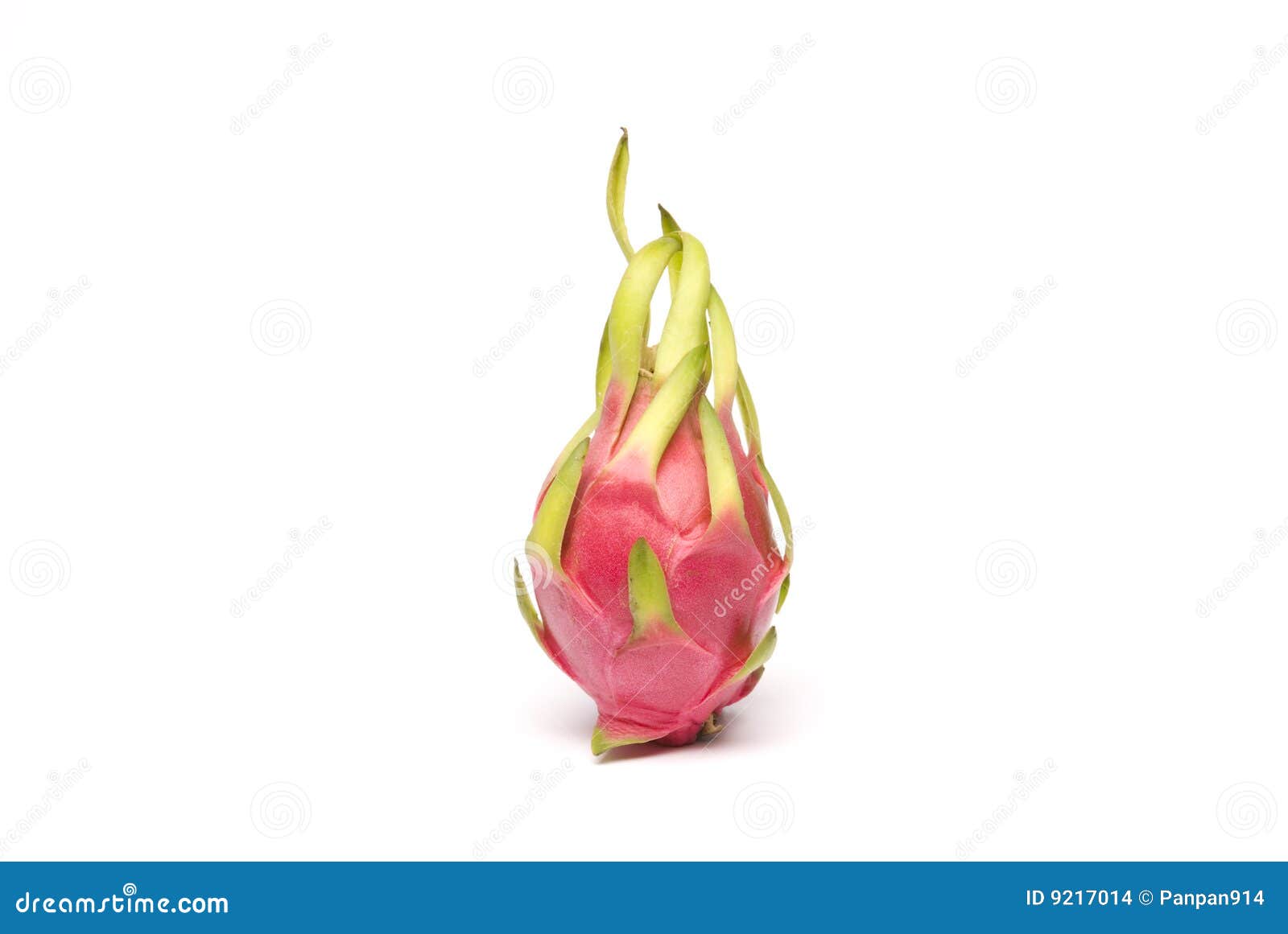 Pitaya rouge (ou Pitahaya) photo stock. Image du phosphore - 9217014