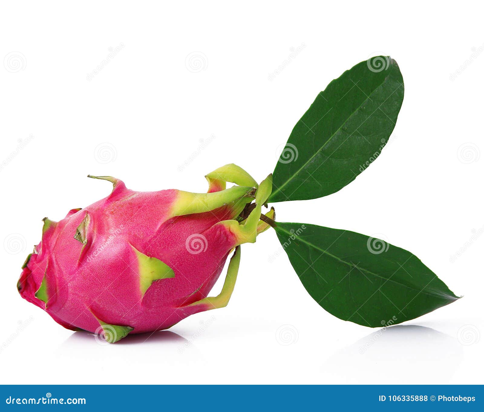 Pitaya Rouge Sur Le Fond Blanc Photo stock - Image du vivacité, frais ...