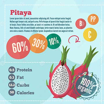 Pitaya Vitamins Infographics in a Flat Style Stock Vector ...