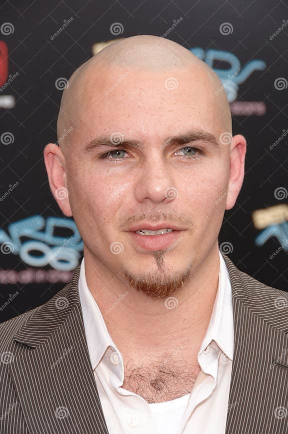 Pitbull editorial stock image. Image of featureflash - 25588399