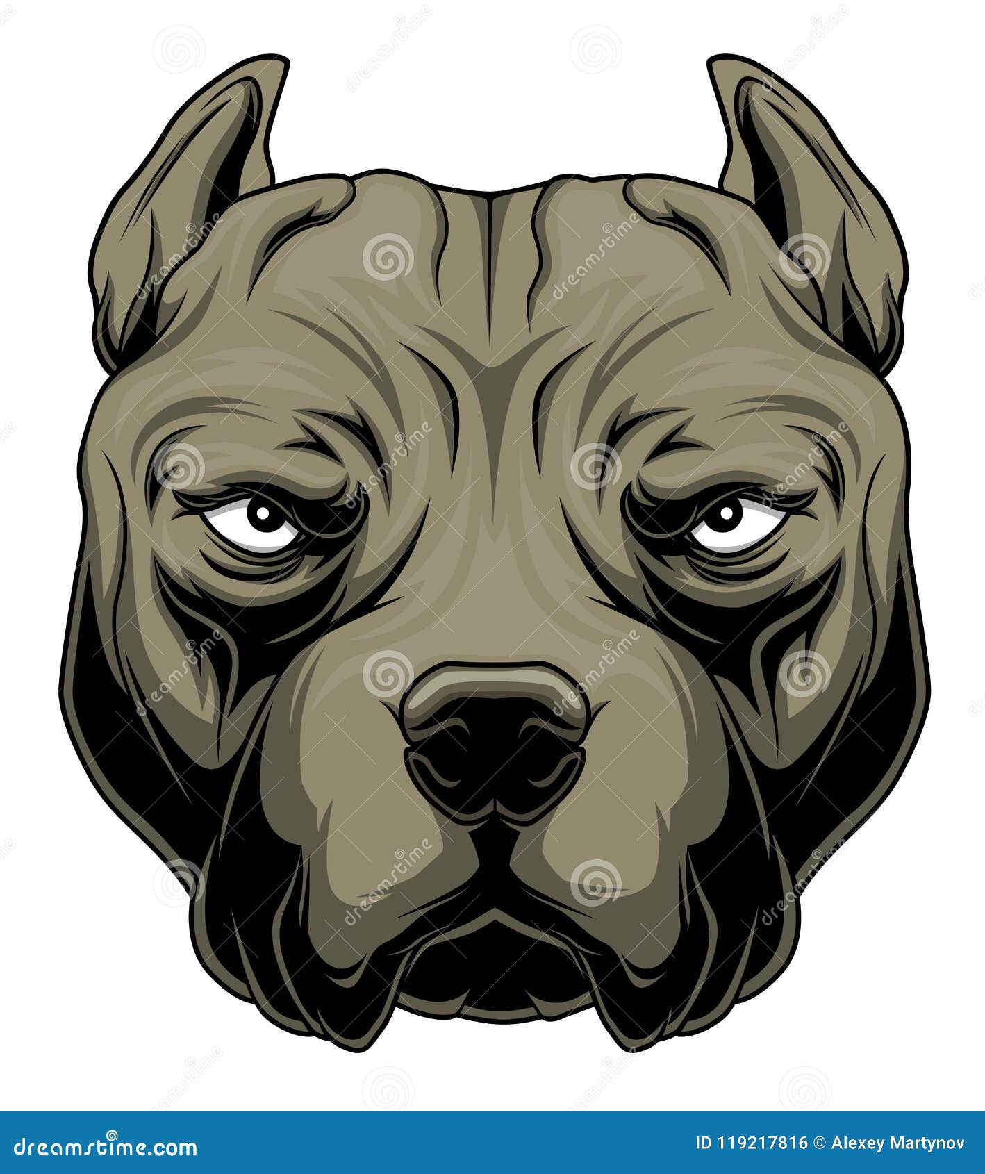 Pitbull Head With Collar Cartoon Vector | CartoonDealer.com #129684815
