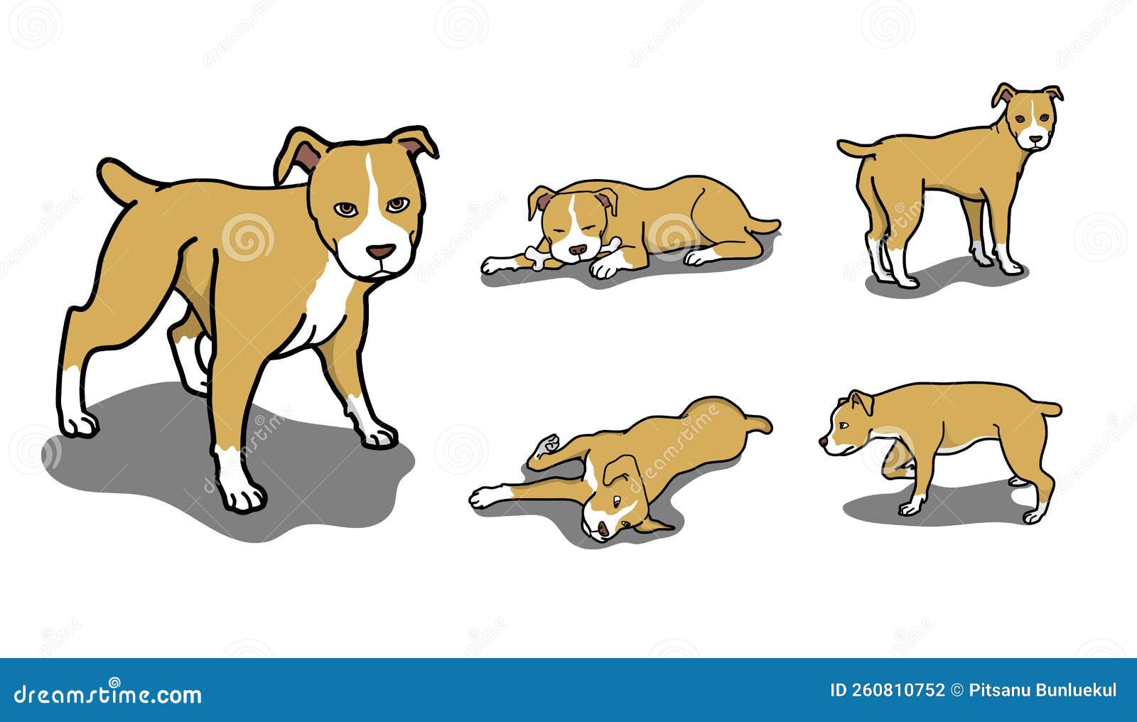 Pitbull Terrier Cartoon Character Set Stock Vector - Illustration of ...