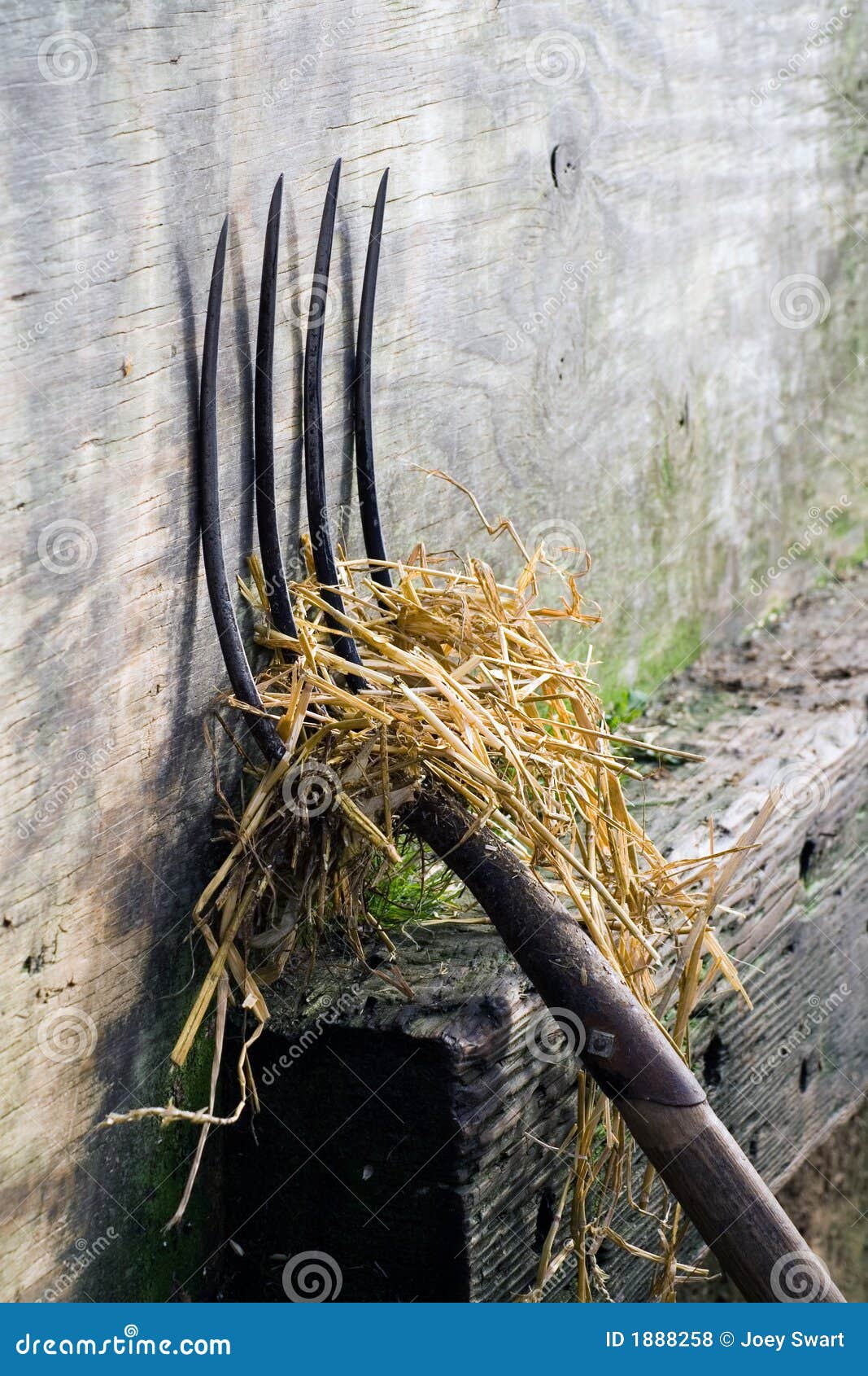Pitch Fork. stock photo. Image of wall, raking, decay - 1888258
