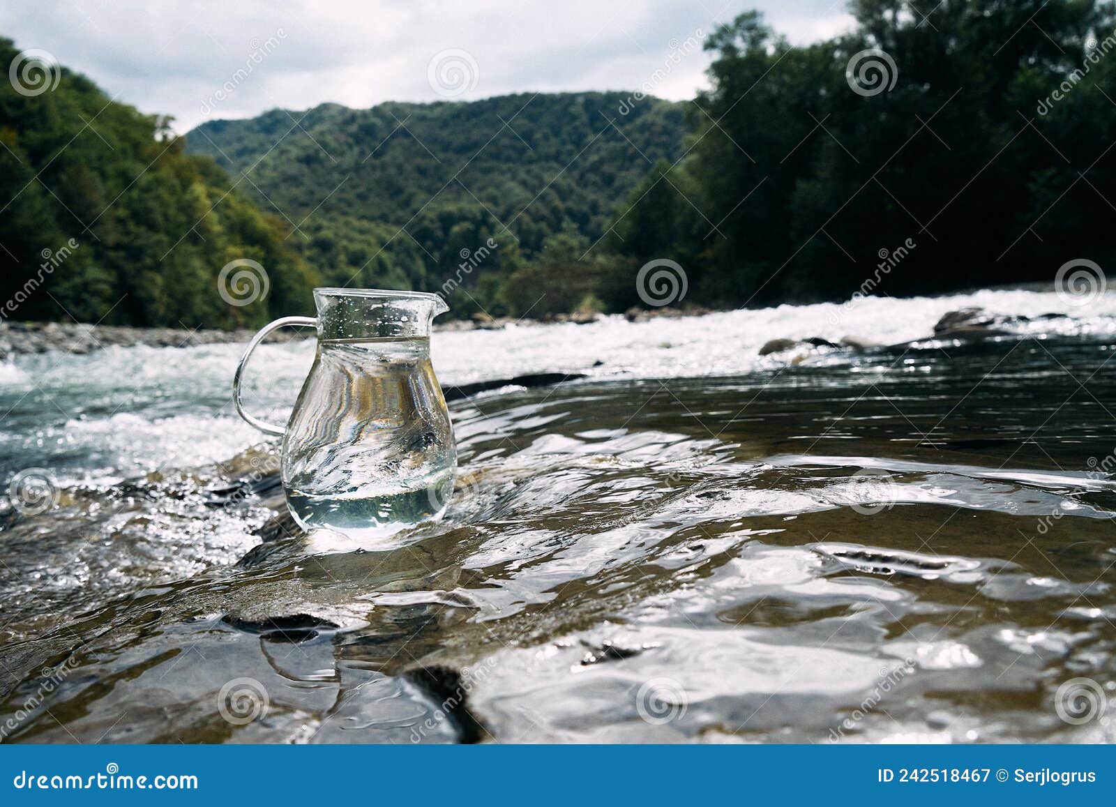 Pitcher of Clean River Water Stock Image - Image of pitcher, bottom ...