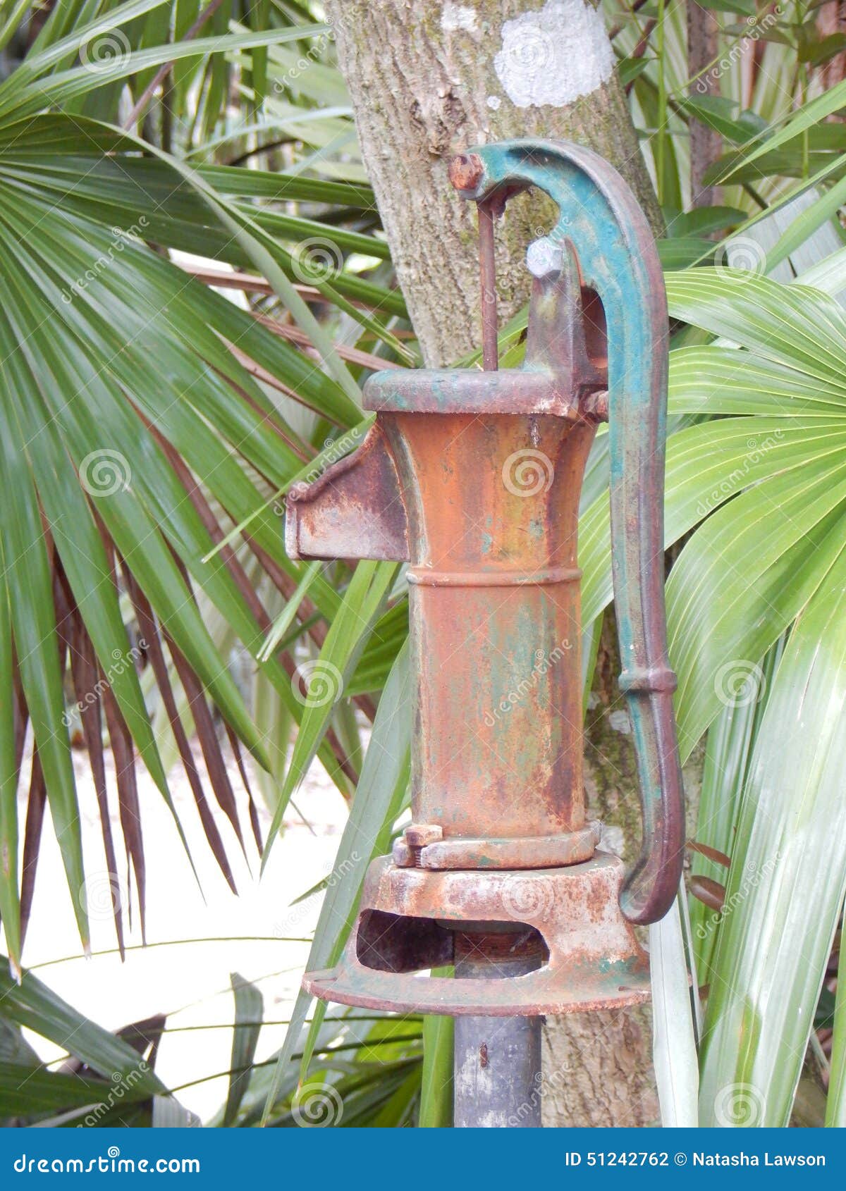 Pitcher Pump stock photo. Image of hand, form, pump, water - 51242762