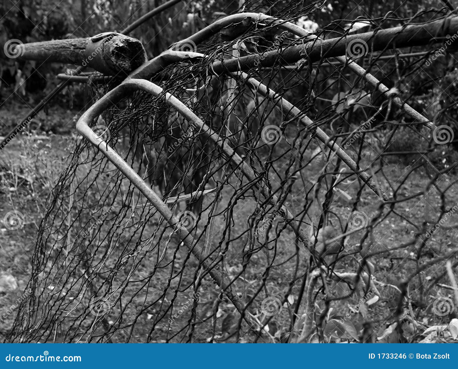 Pitchfork Picture. Image: 1733246