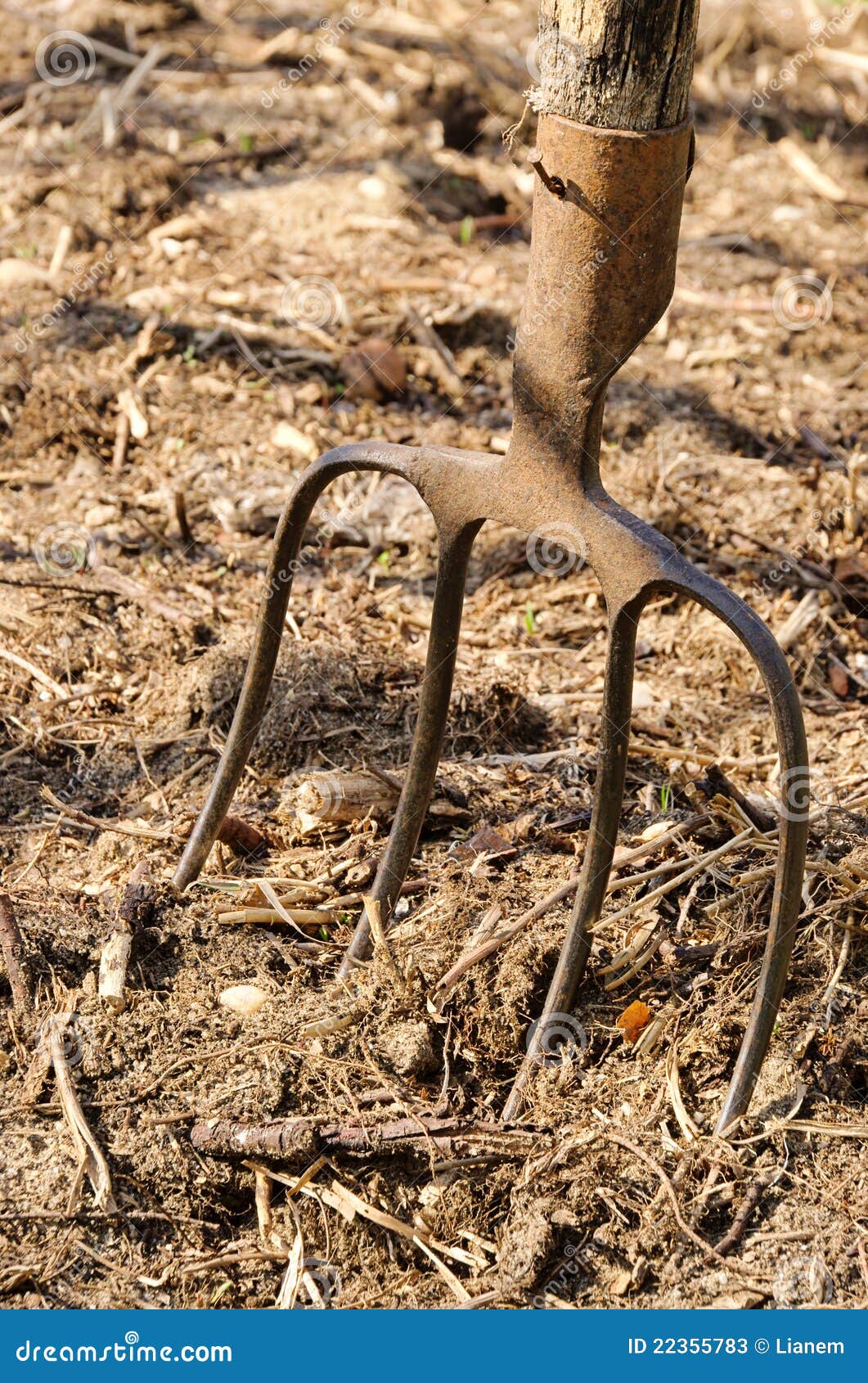 Pitchfork stock image. Image of garden, country, farm - 22355783