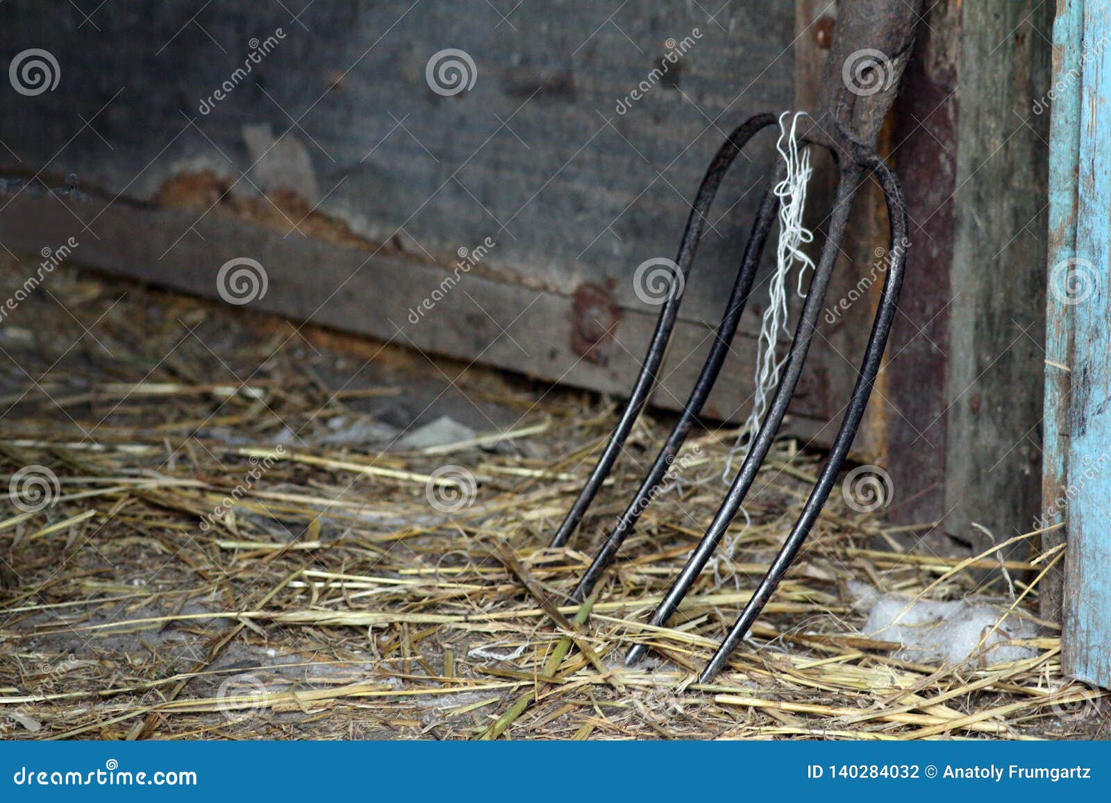 Pitchfork in the barn stock photo. Image of farm, pitchfork - 140284032