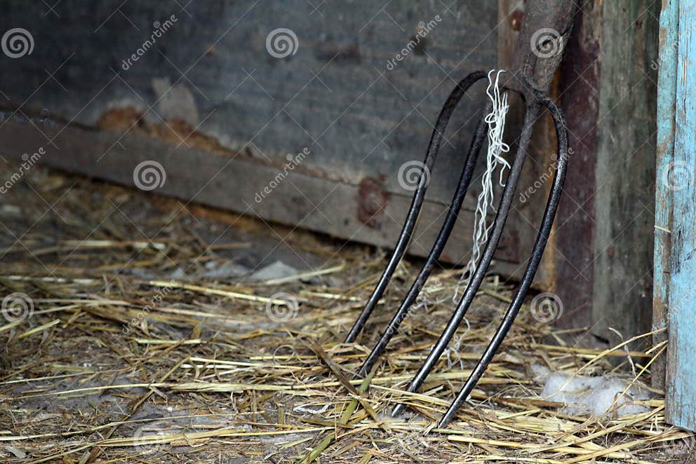 Pitchfork in the barn stock photo. Image of farm, pitchfork - 140284032