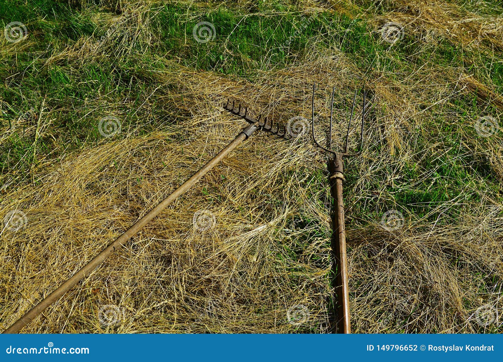 Pitchfork, Rake and Dry Hay Stock Photo - Image of exterior, inventory ...