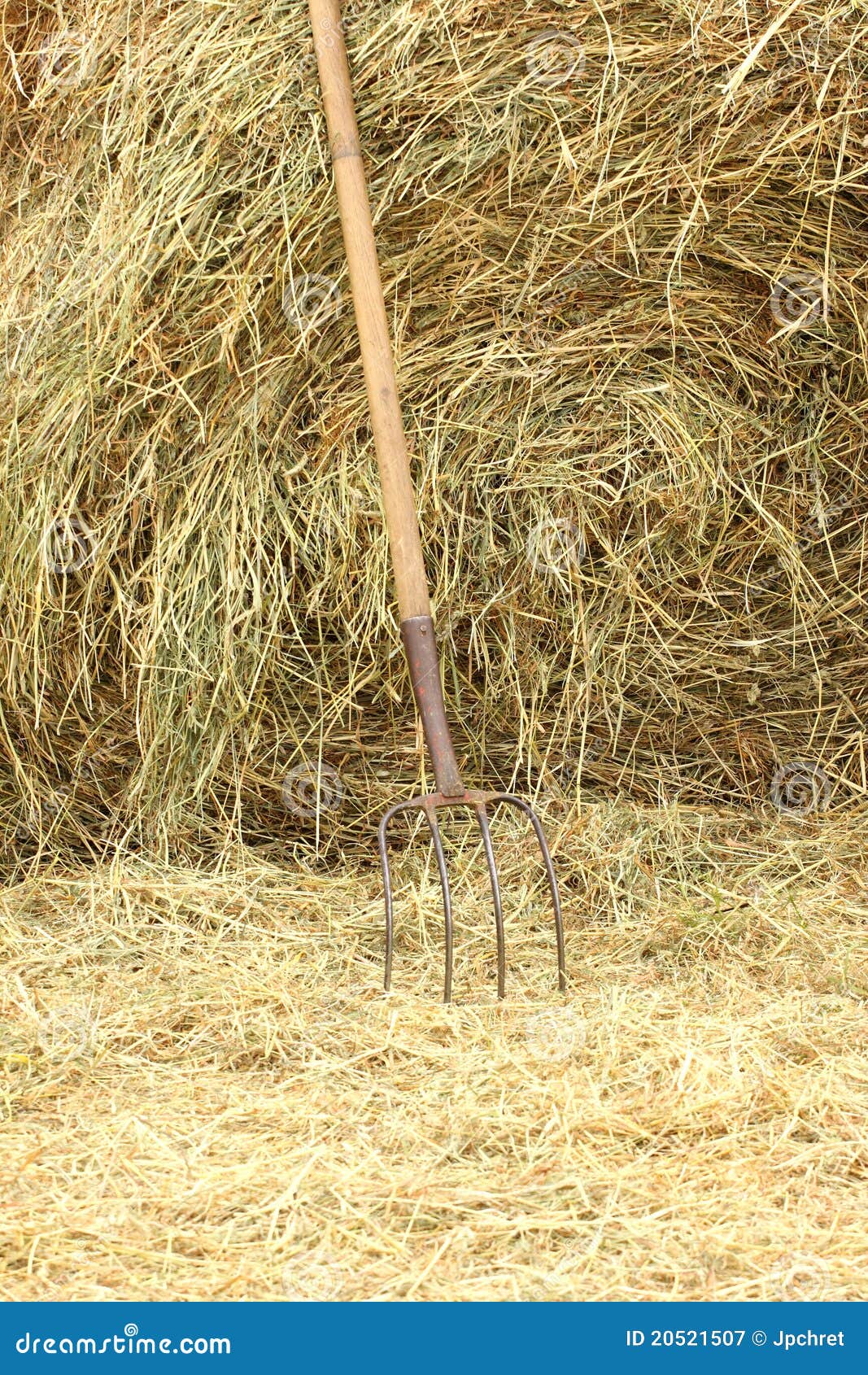 Pitchfork standing stock image. Image of equipment, dirt - 20521507