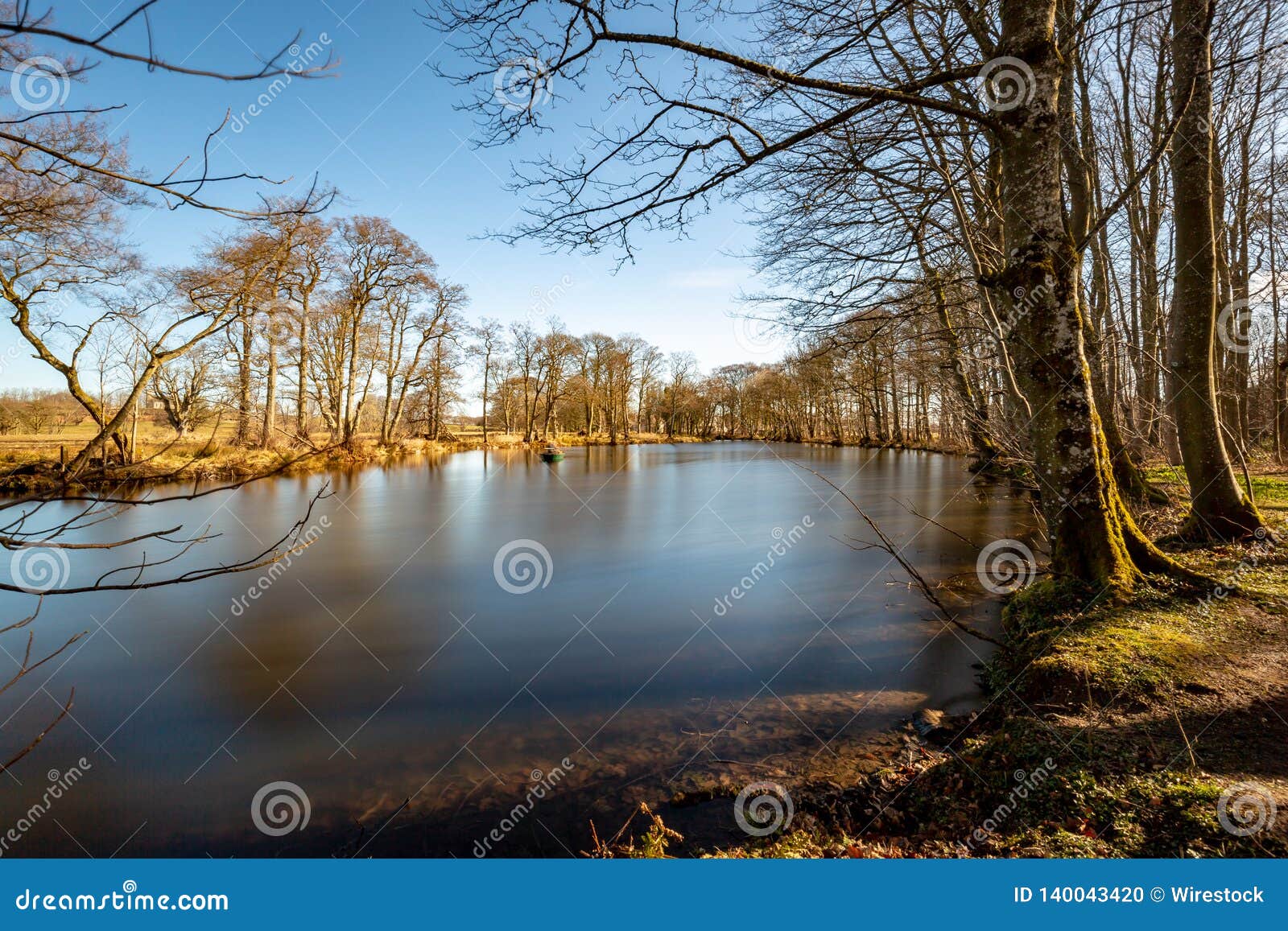 Pitfour See stockfoto. Bild von bäume, park, seeufer - 140043420