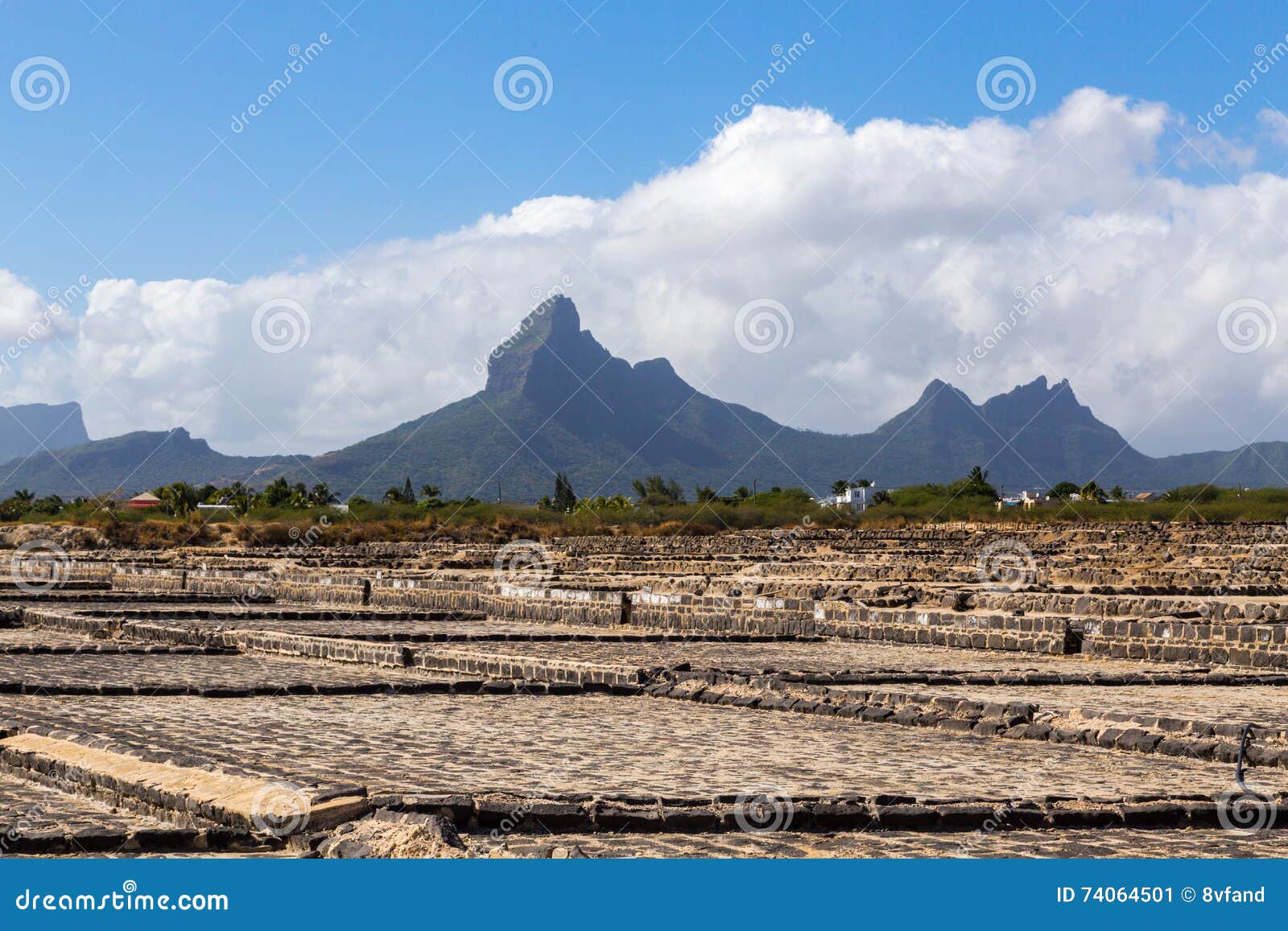 Piton De La Petite Mauritius with Salines of Tamarin Stock Image ...