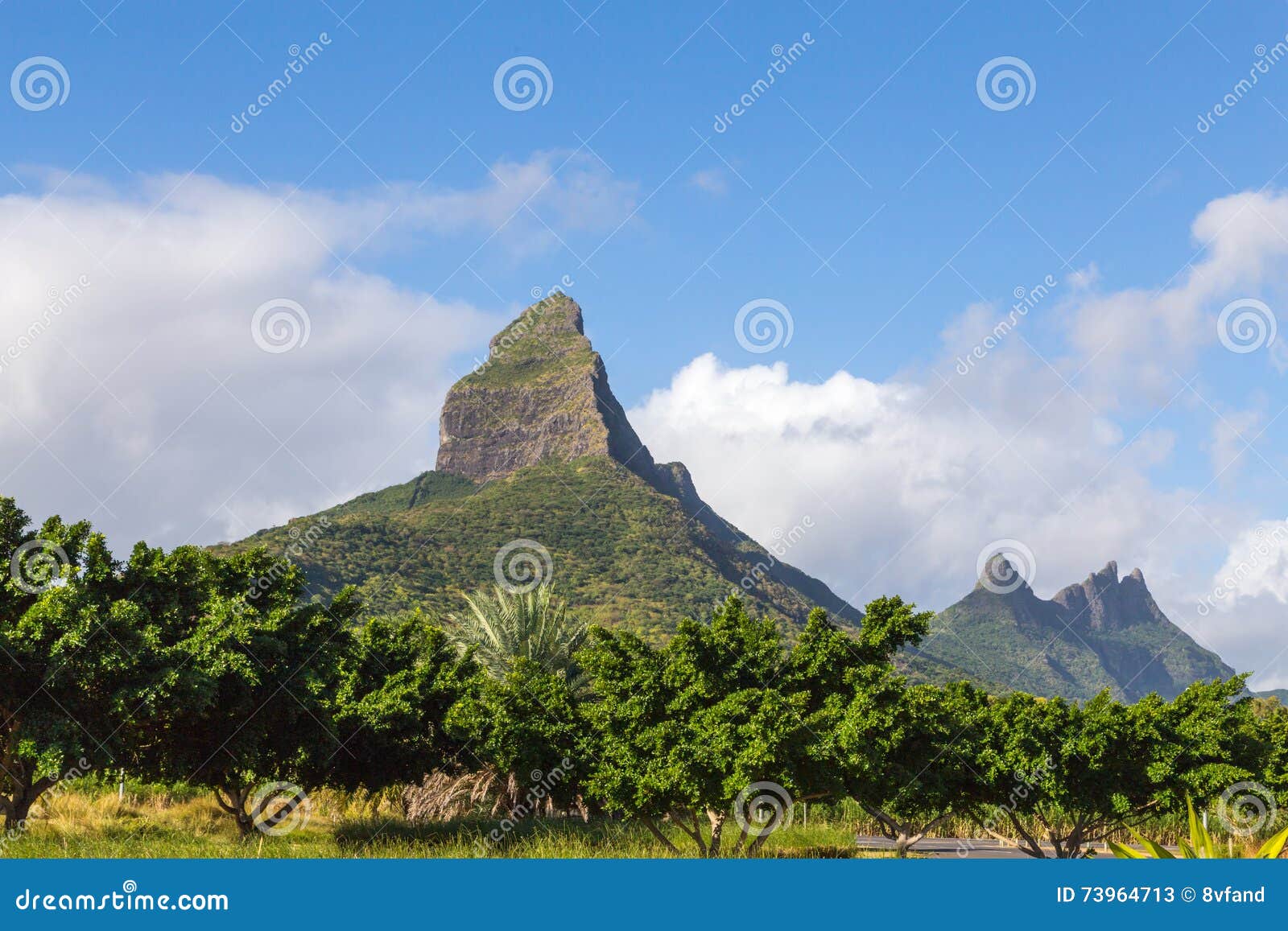 Piton De La Petite Mountain in Mauritius Panoramic Stock Image - Image ...