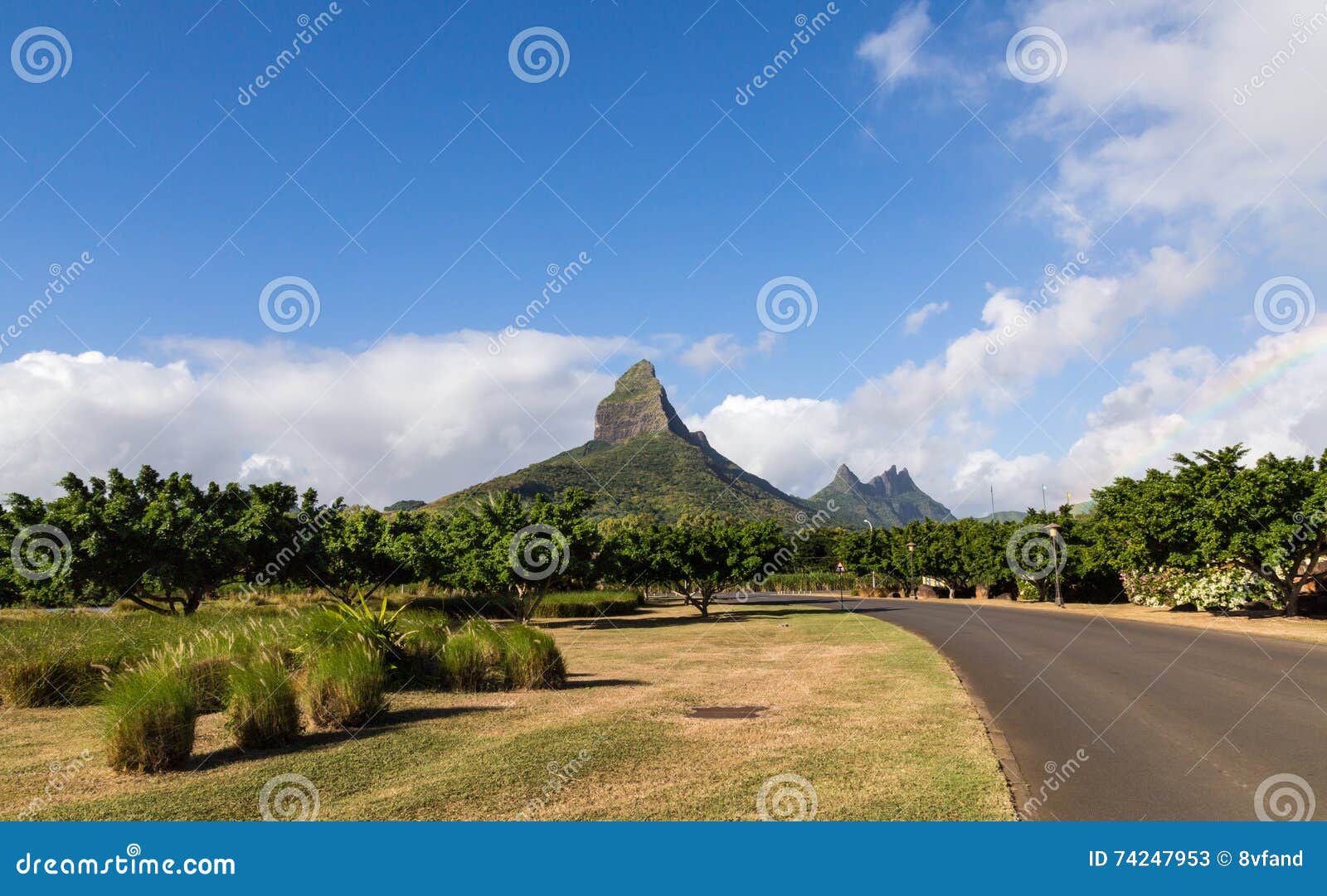 Piton De La Petite Mountain in Mauritius Panoramic Stock Image - Image ...