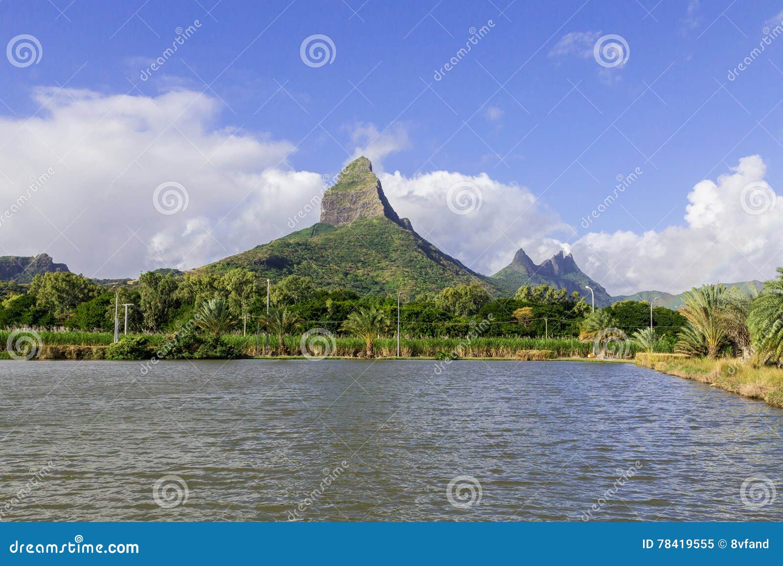 Piton De La Petite Mountain in Mauritius Panoramic Stock Image - Image ...