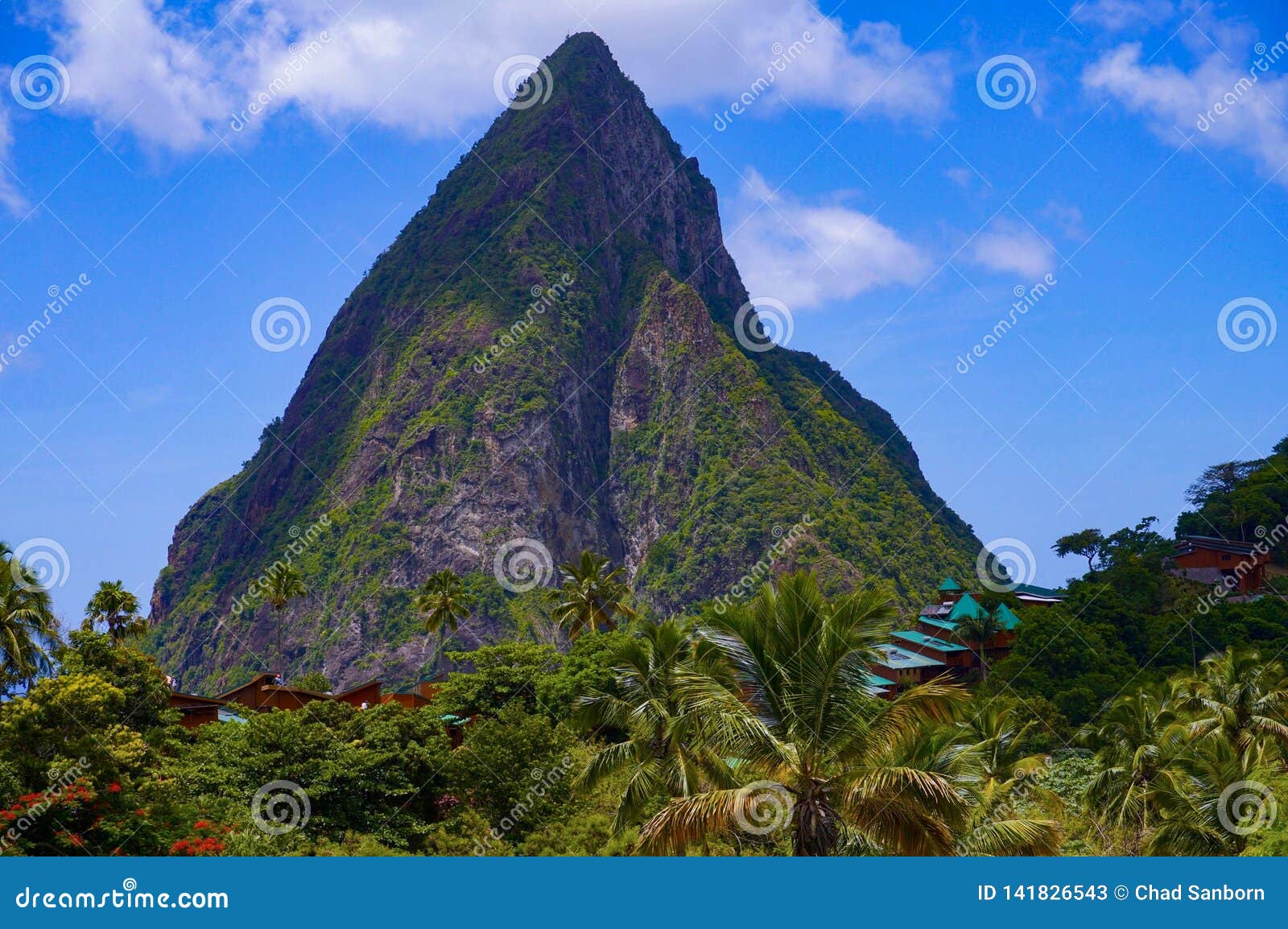 Piton stock image. Image of lucia, piton, tropical, mountain - 141826543