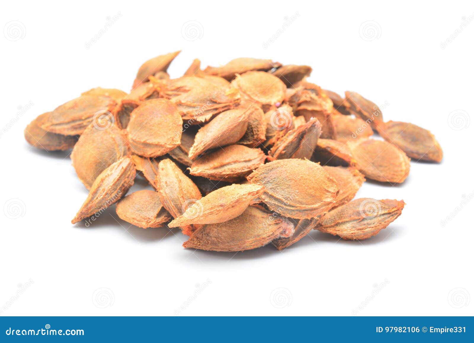 Pits stock photo. Image of organic, apricot, leftover - 97982106